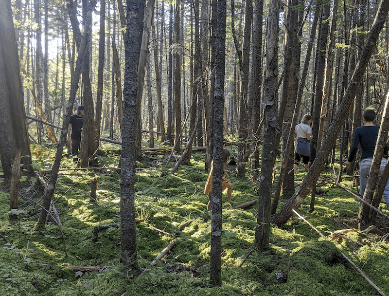 A Glimpse at the 2023 WWOOF International Meeting in Canada | WWOOF