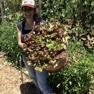 Get Involved | WWOOF