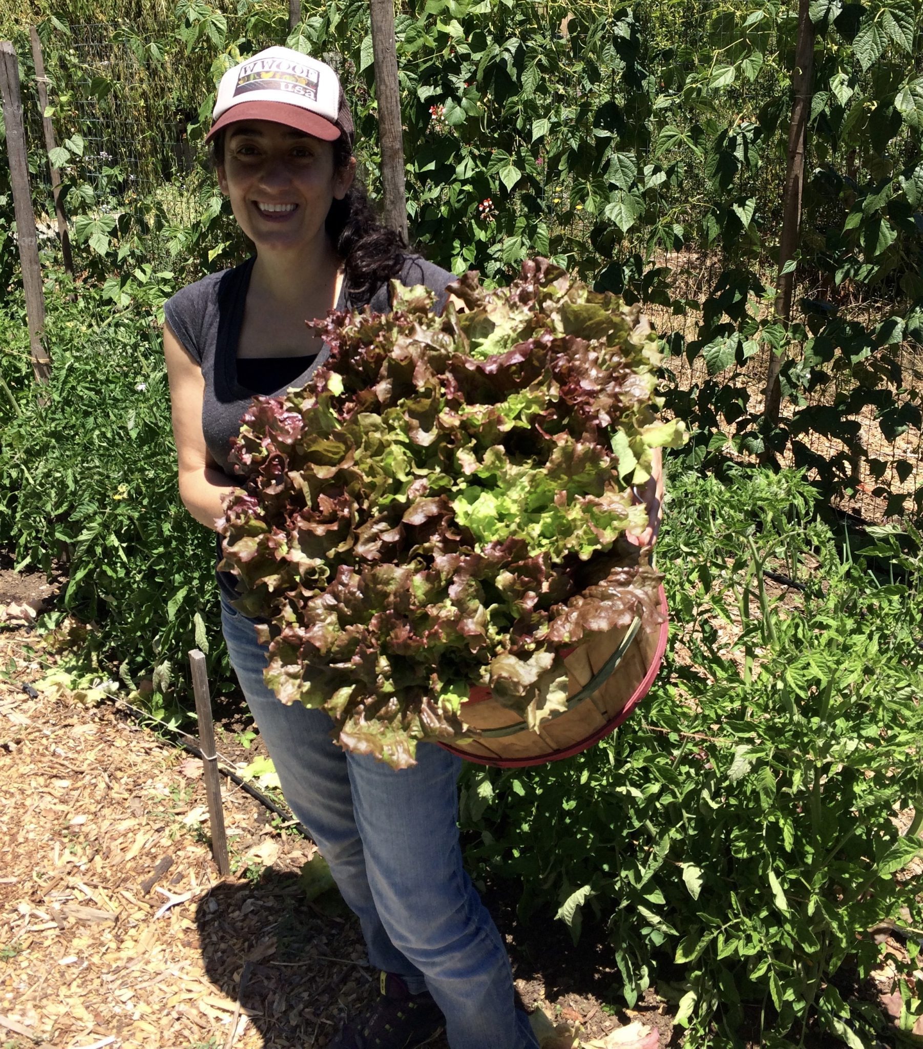 Get Involved | WWOOF