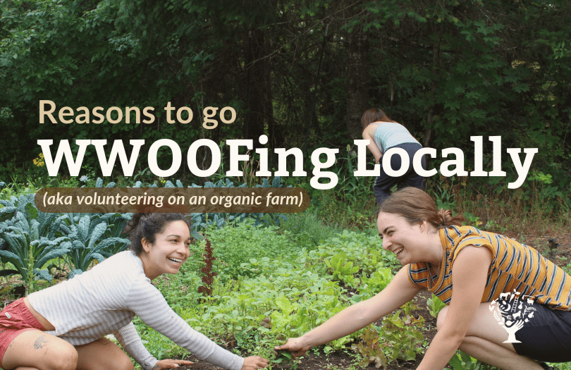 WWOOF | World Wide Opportunities on Organic Farms